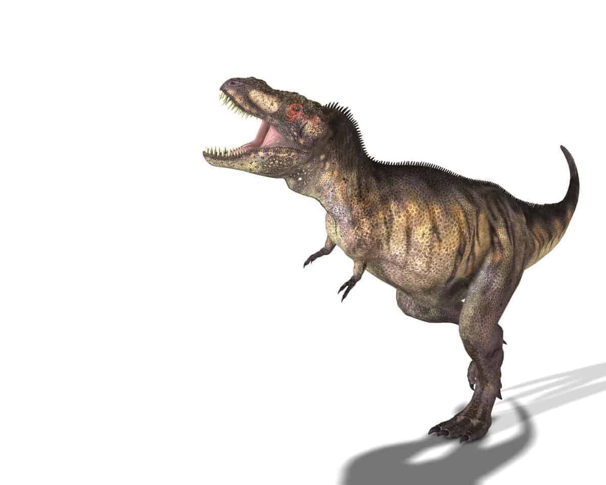 10 Ways to Cure T-Rex Arms After a Workout - Muscle And Recovery