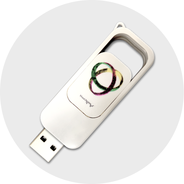Whole Car EMF Neutralizer (USB) - Life Infused