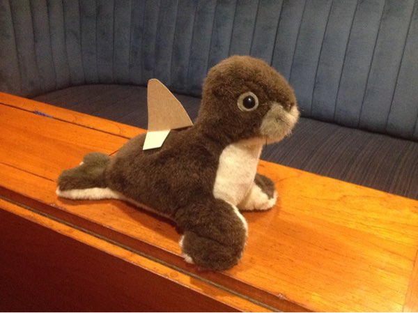 The 5 Great Capes | The Start