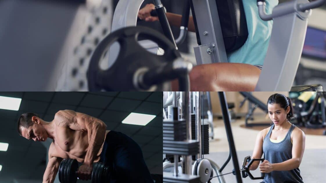 Muscle And Recovery - Your Guide To Pain-Free Muscle Recovery