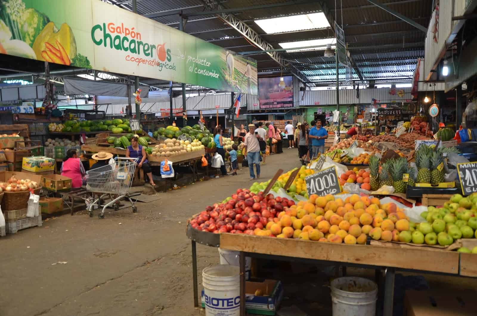 Recoleta (District in Santiago, Chile) - Nomadic Niko