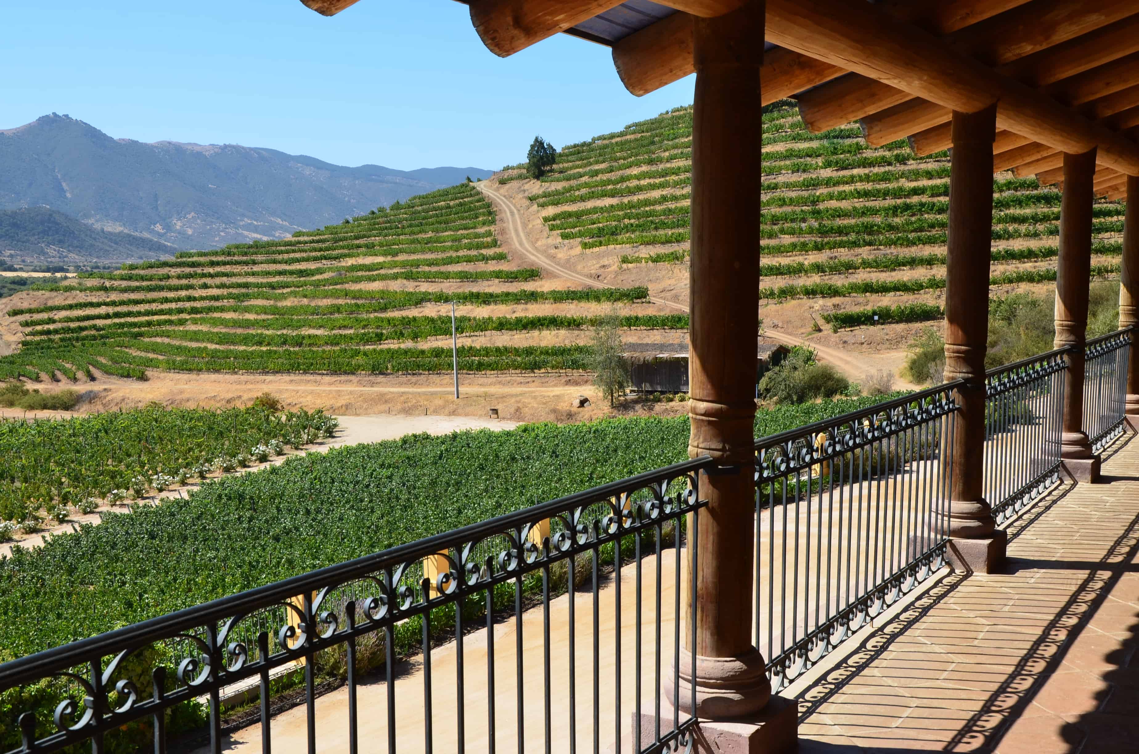 Colchagua Valley Wine Tour (Chile) - Nomadic Niko