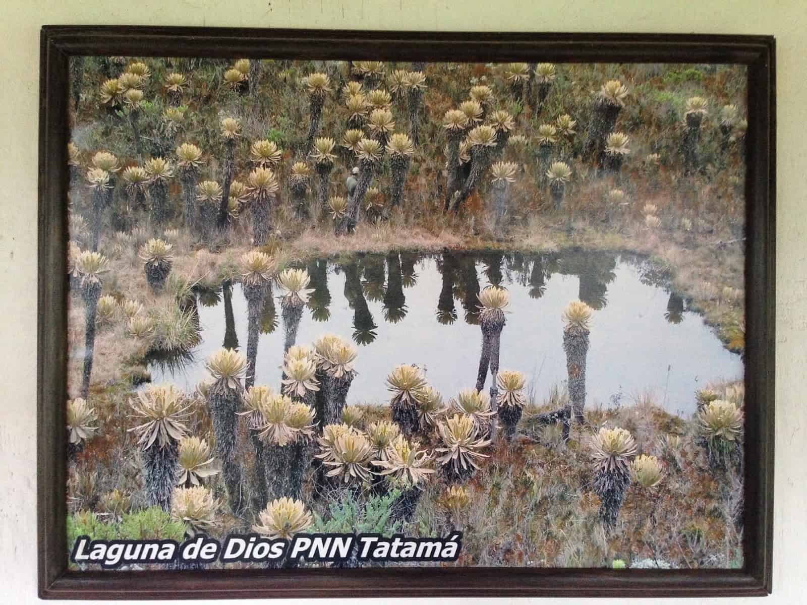 PNN Tatamá (National Park in Colombia) - Nomadic Niko