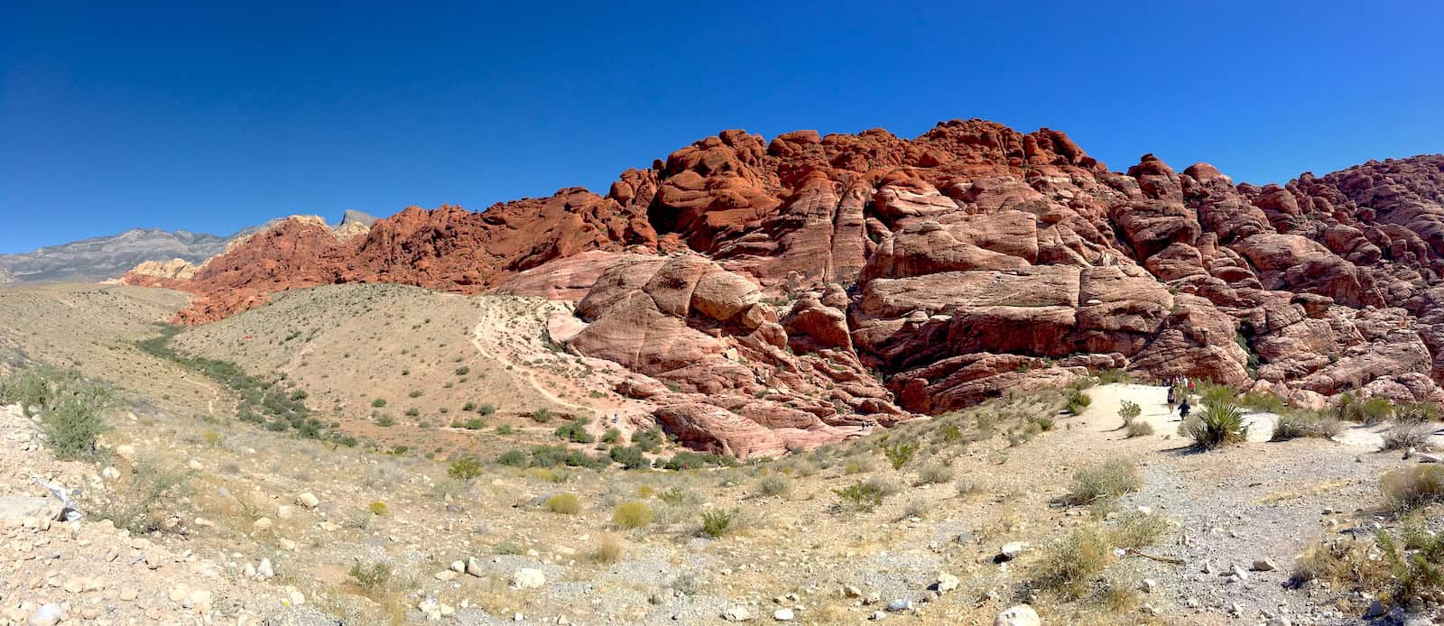Red Rock Canyon National Conservation Area: A Natural Getaway