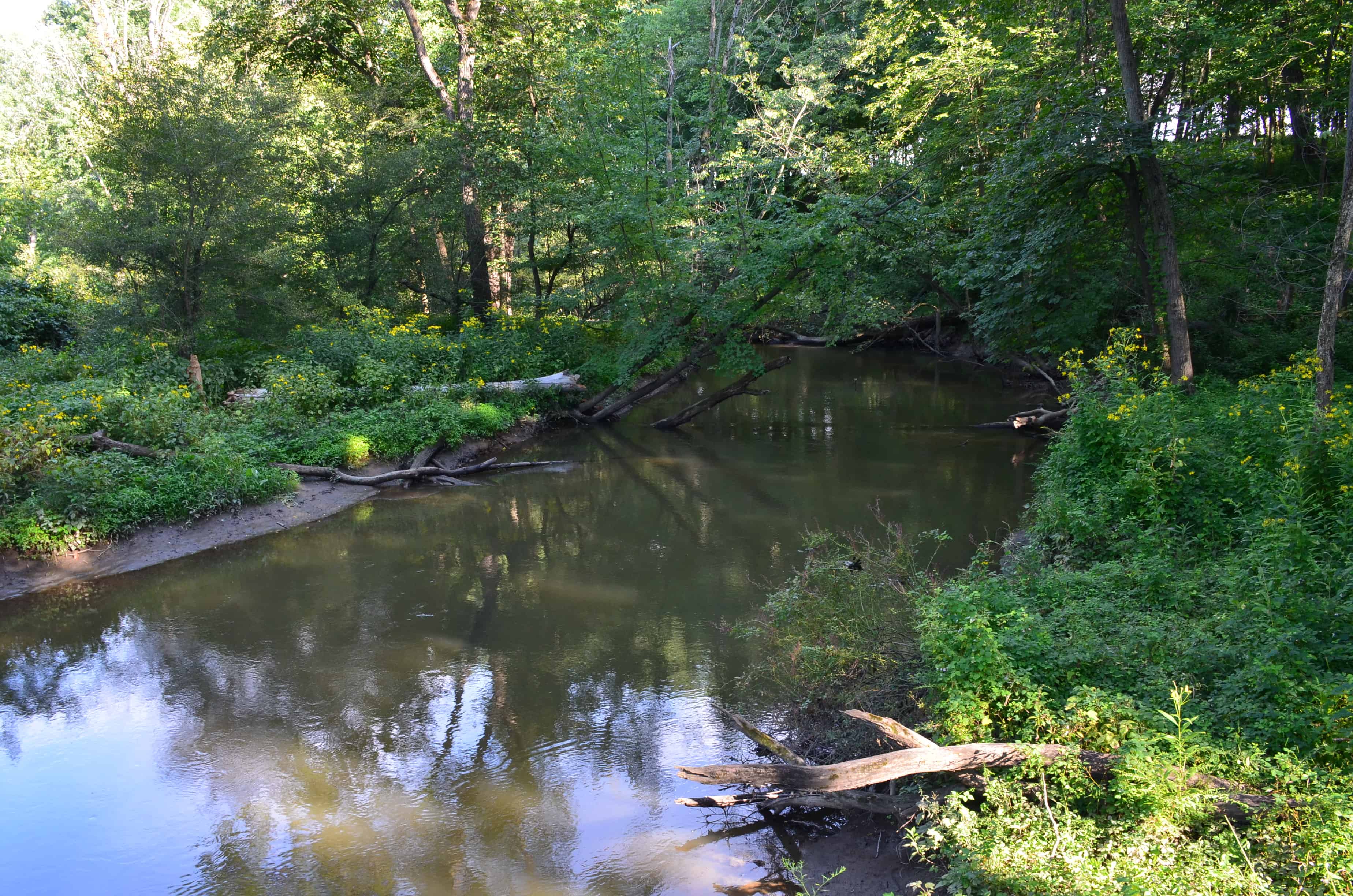 Little Calumet River Trail (Indiana Dunes National Park) - Nomadic Niko