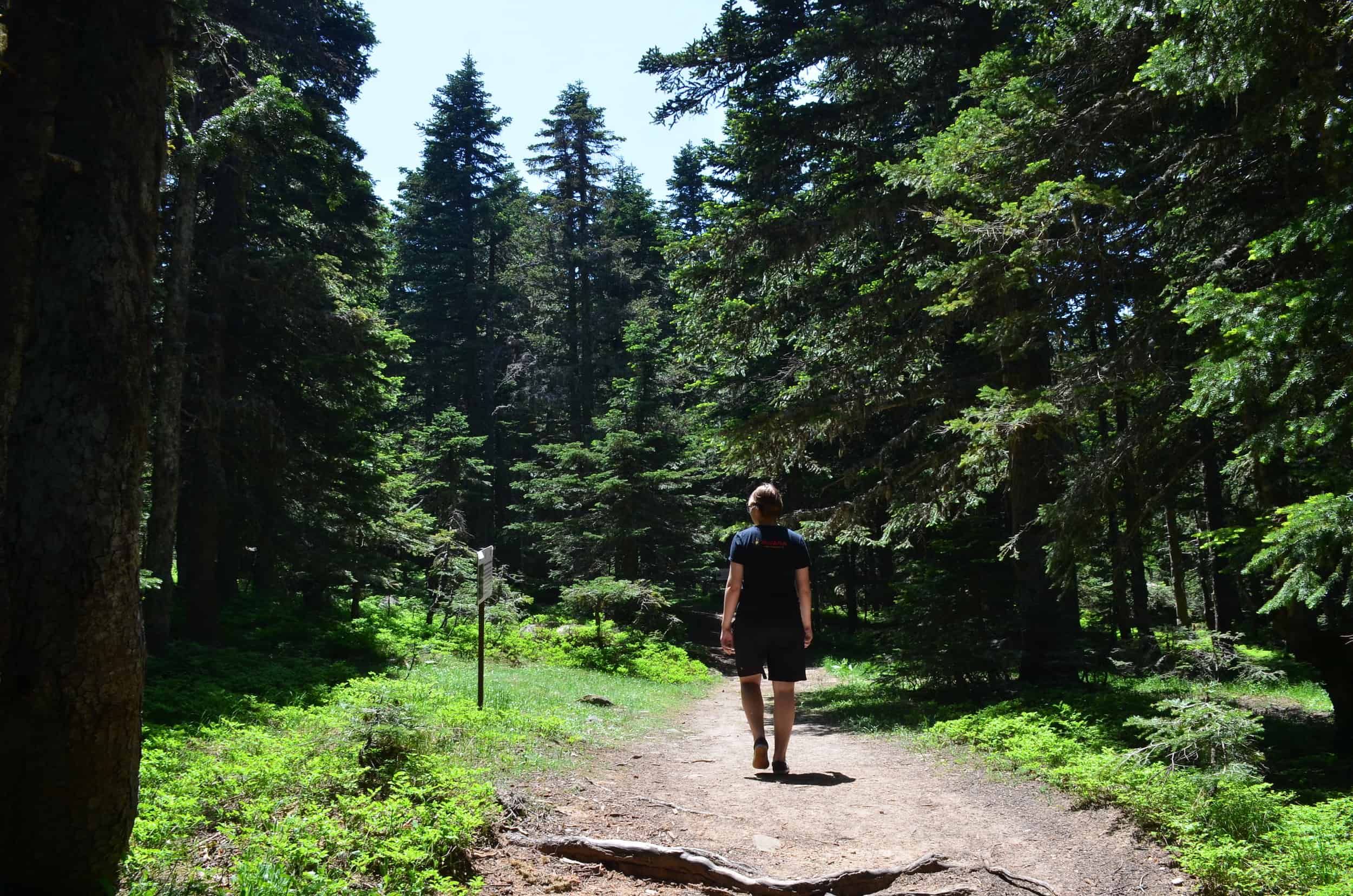 Uludağ National Park: A Breath of Fresh Air in Bursa, Turkey