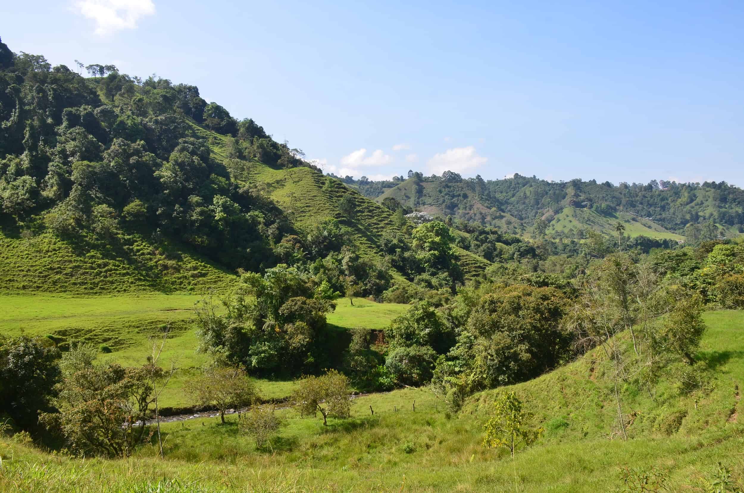 Santa Rita Nature Reserve: A Great Hike Near Salento, Colombia