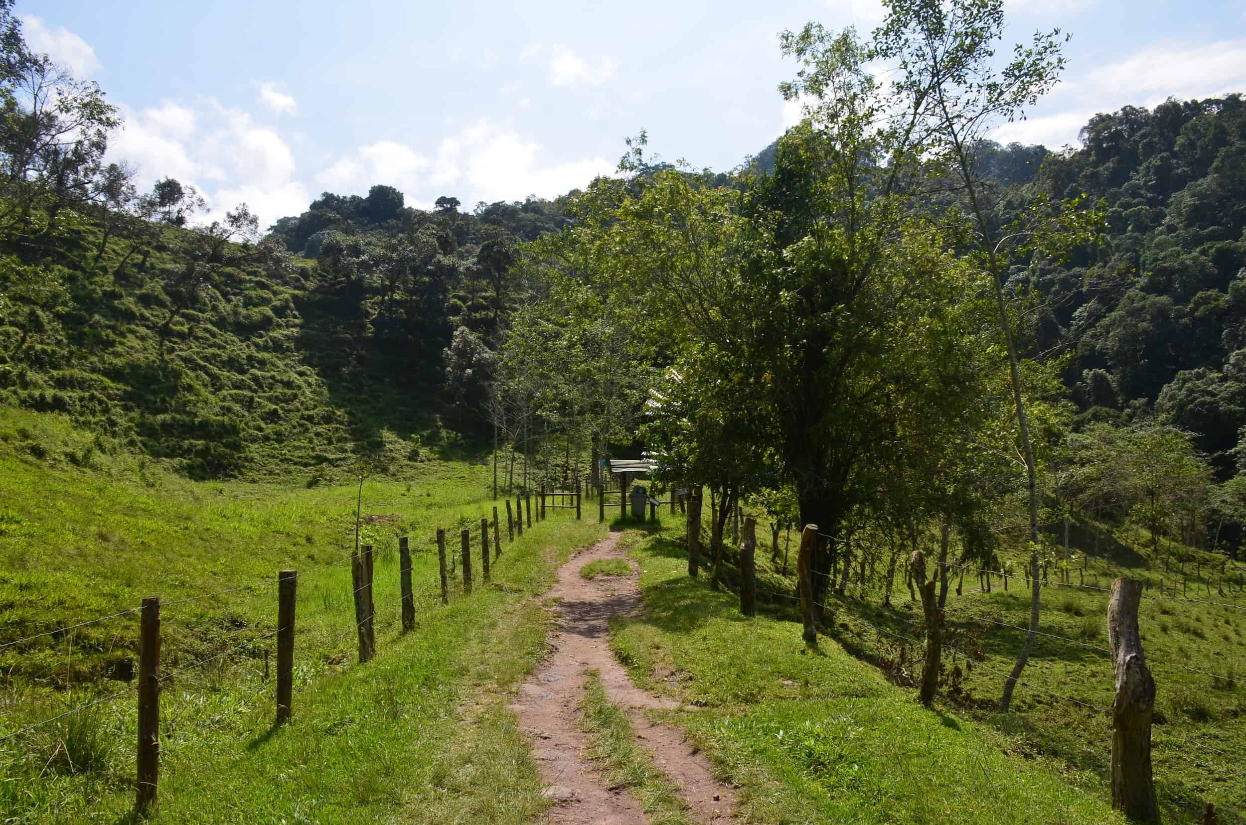 Santa Rita Nature Reserve: A Great Hike Near Salento, Colombia
