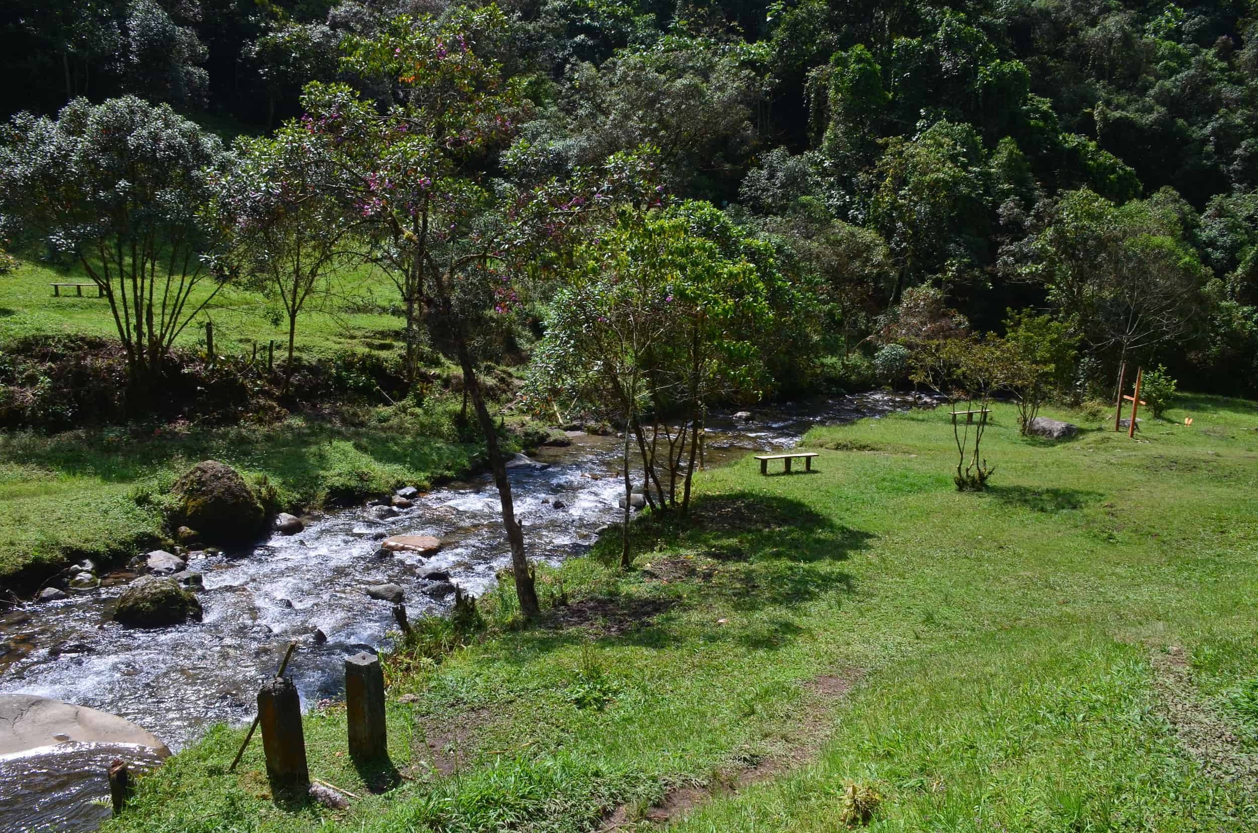 Santa Rita Nature Reserve: A Great Hike Near Salento, Colombia