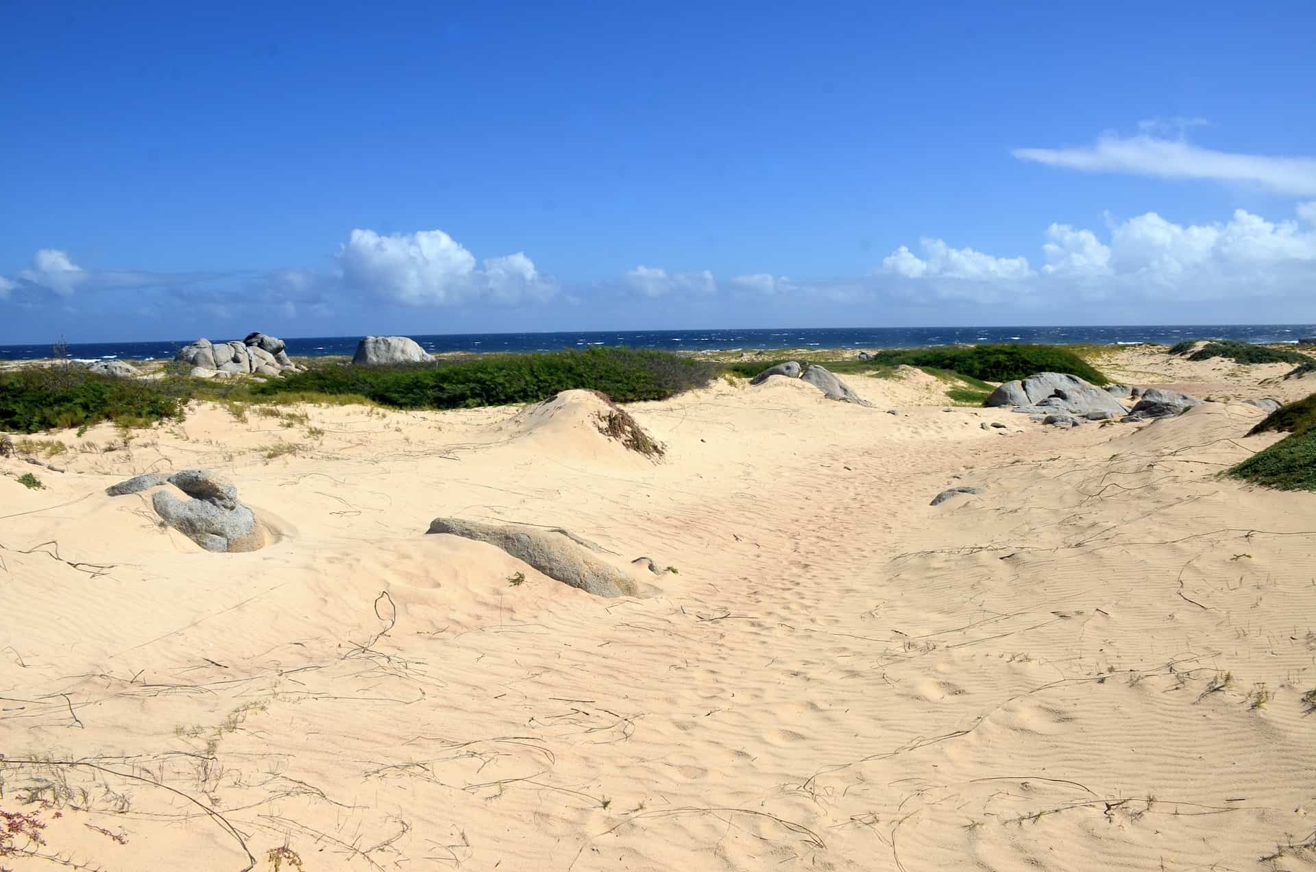 Noord: What to See and Do in Aruba's Northernmost District