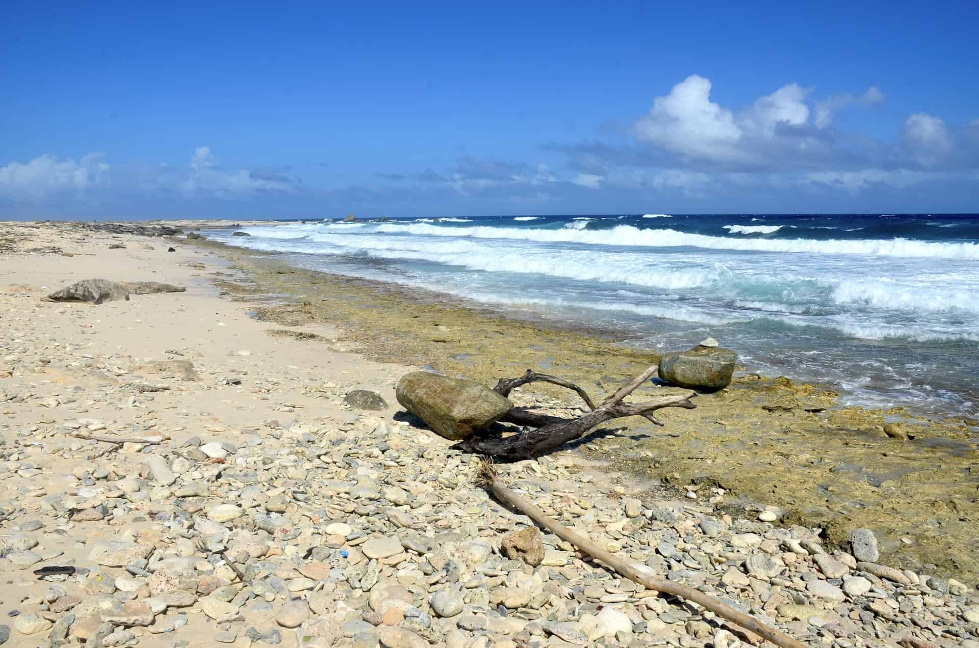 Noord: What to See and Do in Aruba's Northernmost District