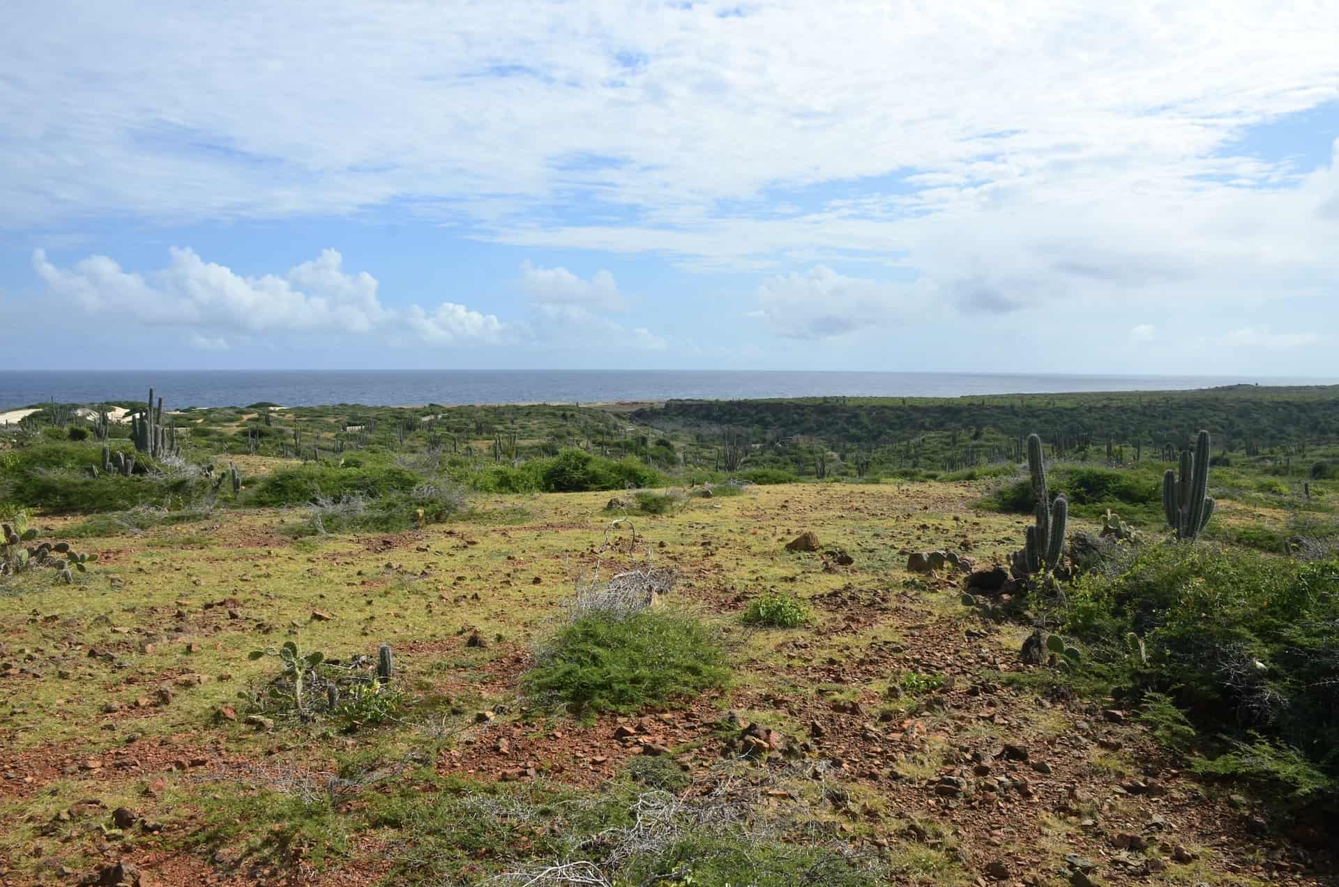 Arikok National Park: Aruba's Rugged Natural Landscape