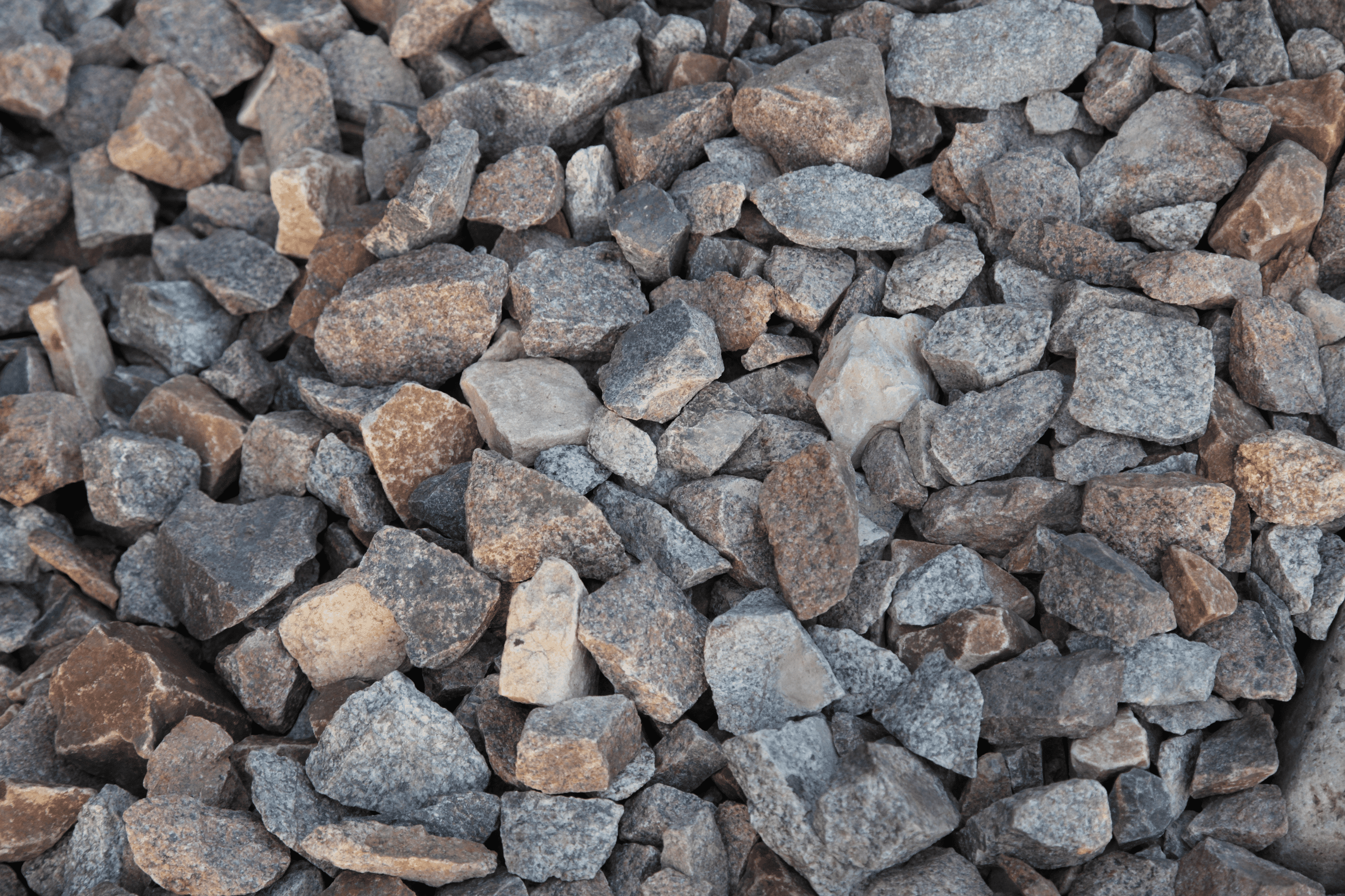 5 Best Substrate For Betta Fish: Planted, Biotopes, & More