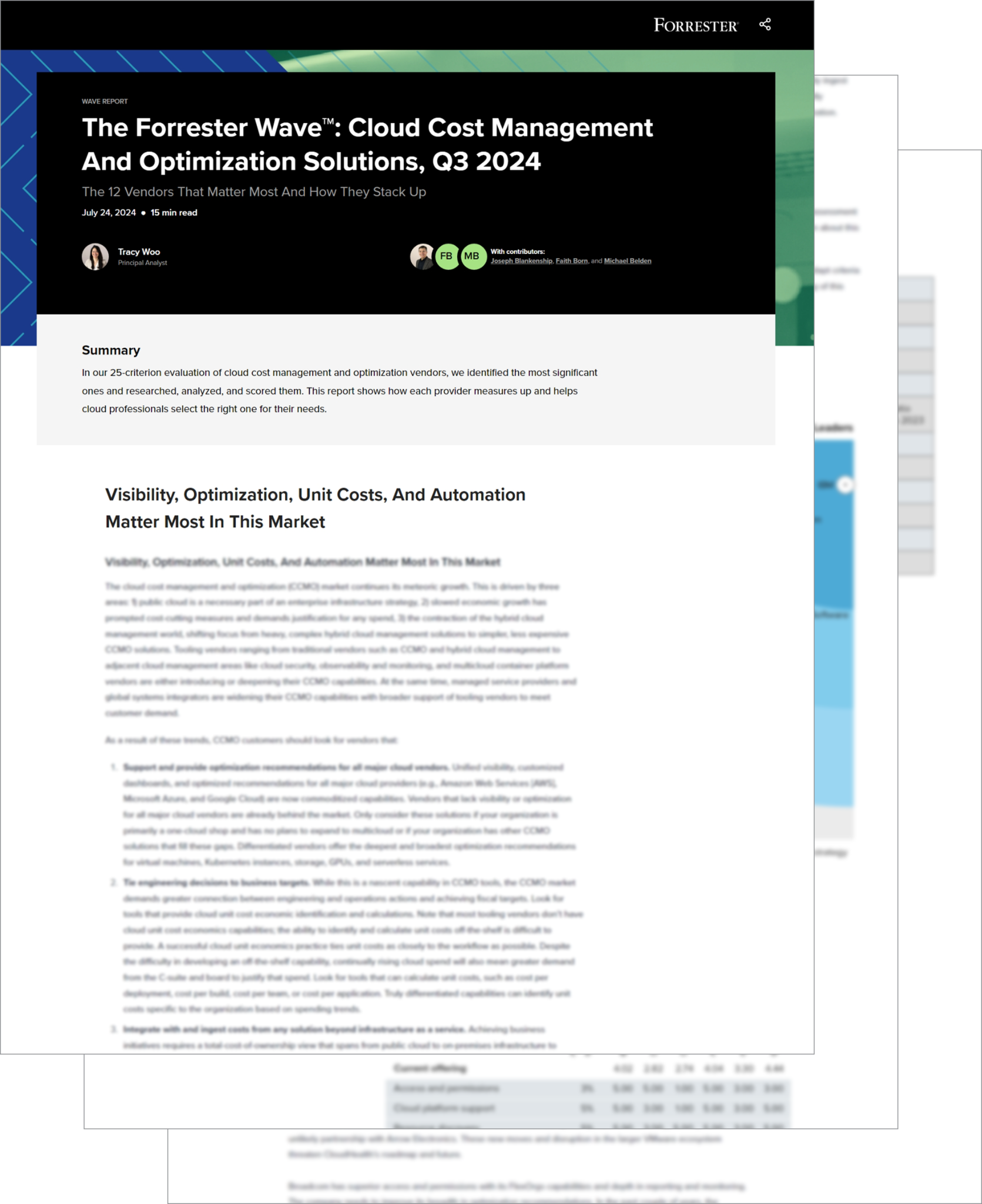 The Forrester Wave™: Cloud Cost Management and Optimization Solutions, Q3 2024 - Apptio