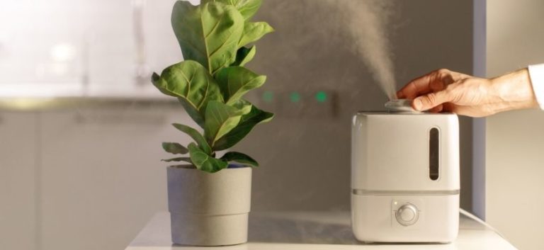 Ideal Indoor Humidity (With Chart) For Maximum Comfort