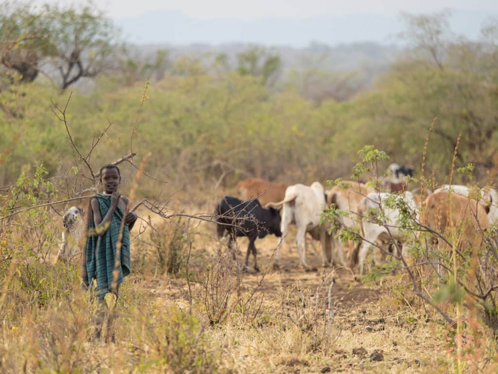 Mursi Tribe Donga Stick Fighting Tournament in Omo Valley, Ethiopia