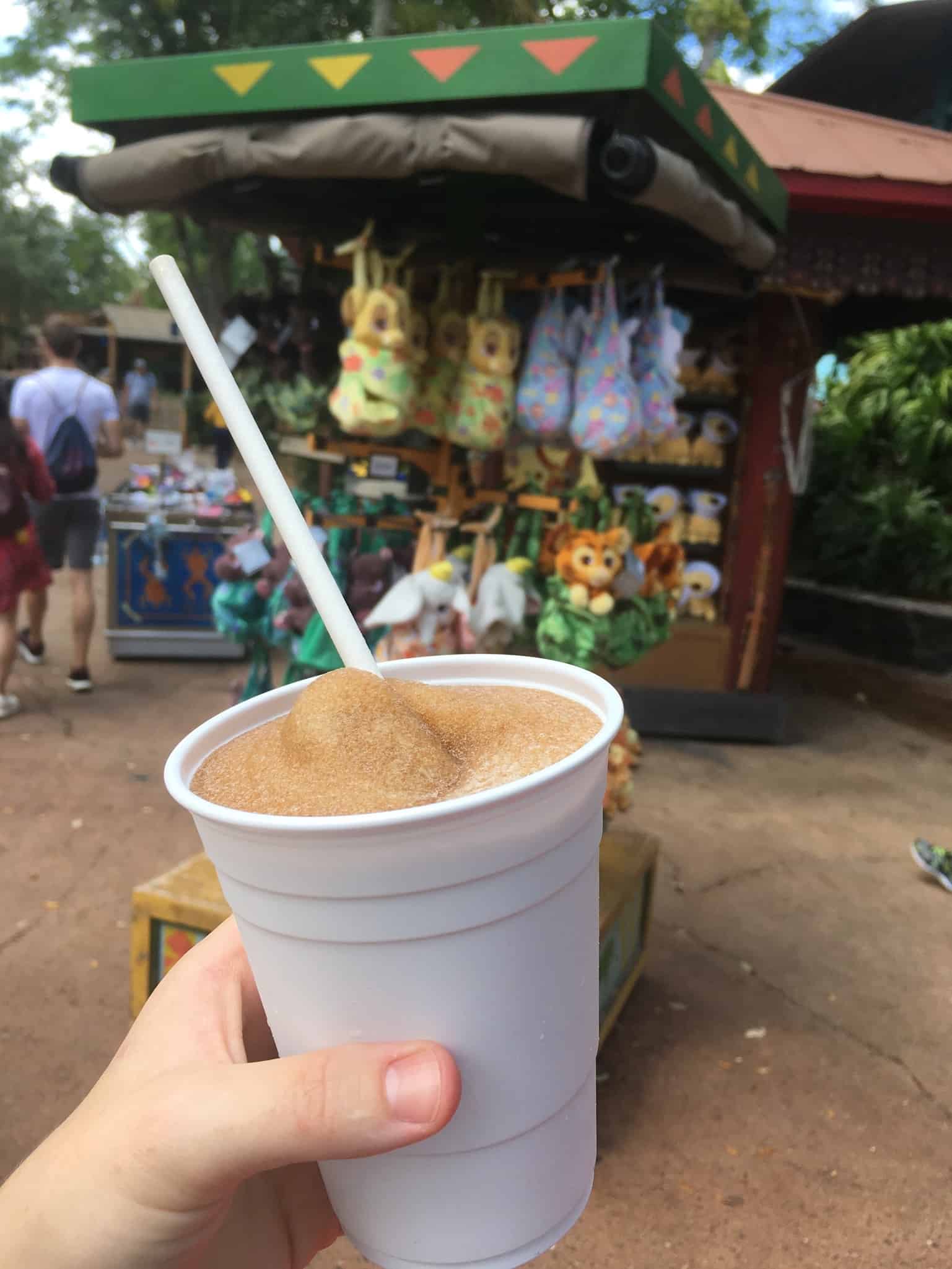 6 Delicious Drinks for staying Hydrated at Disney World - Mouse Ear ...