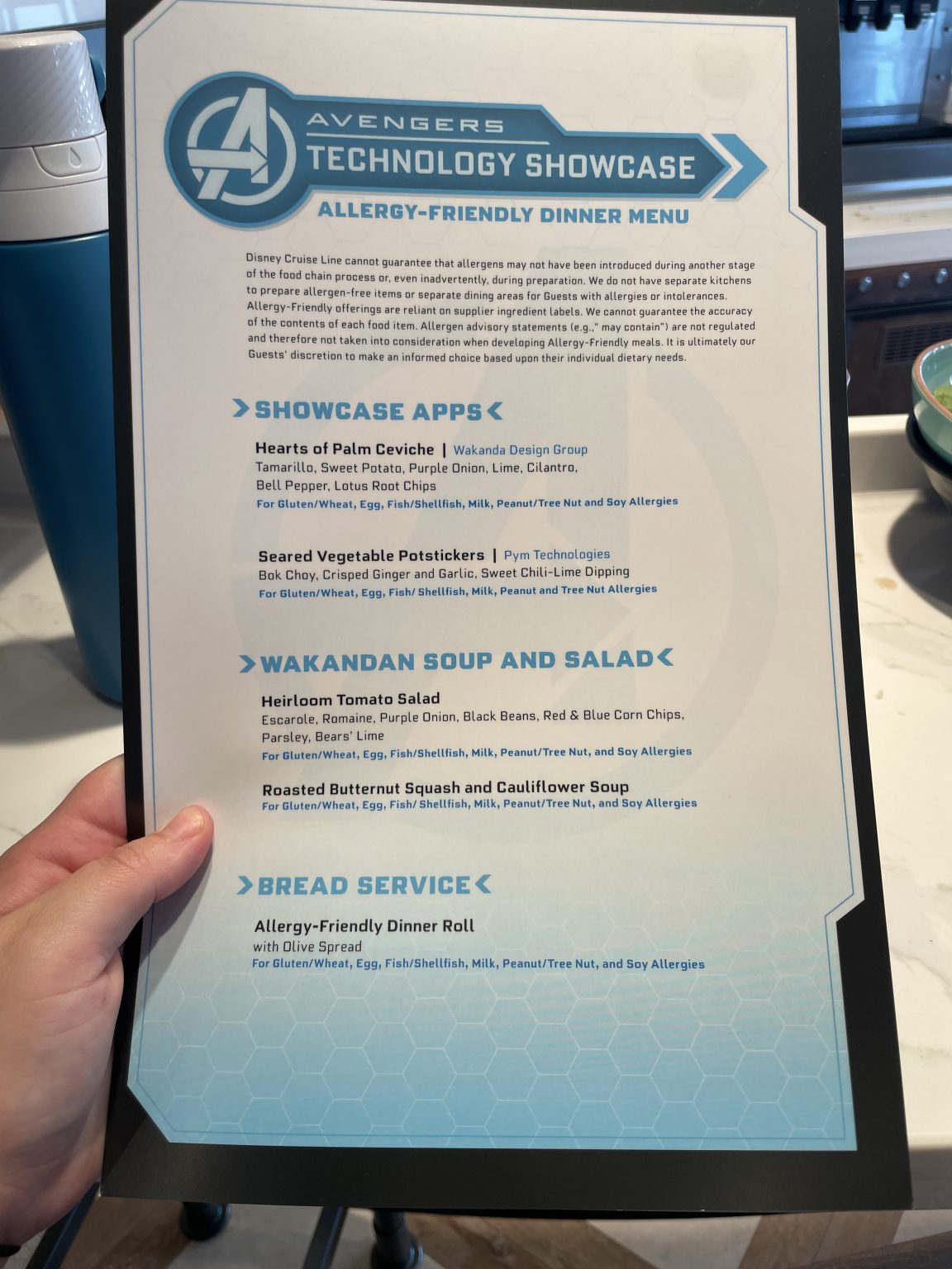 Allergy Menus for The Disney Wish - Mouse Ear Memories
