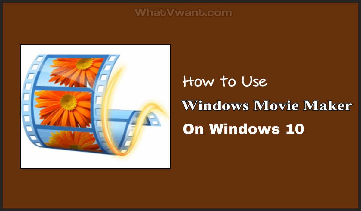 How To Use Windows Movie Maker On Windows 10 In 2020