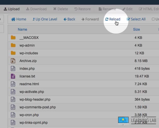WordPress Core Files Replacement Done Manually On A Live Site ...