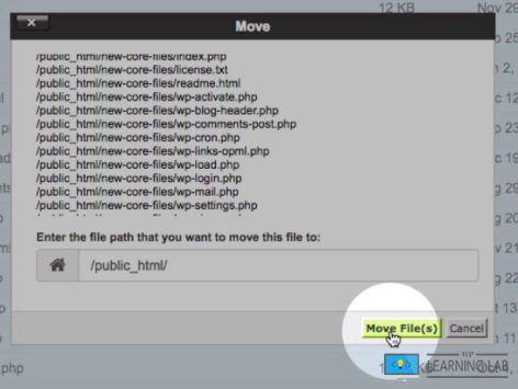 WordPress Core Files Replacement Done Manually On A Live Site ...