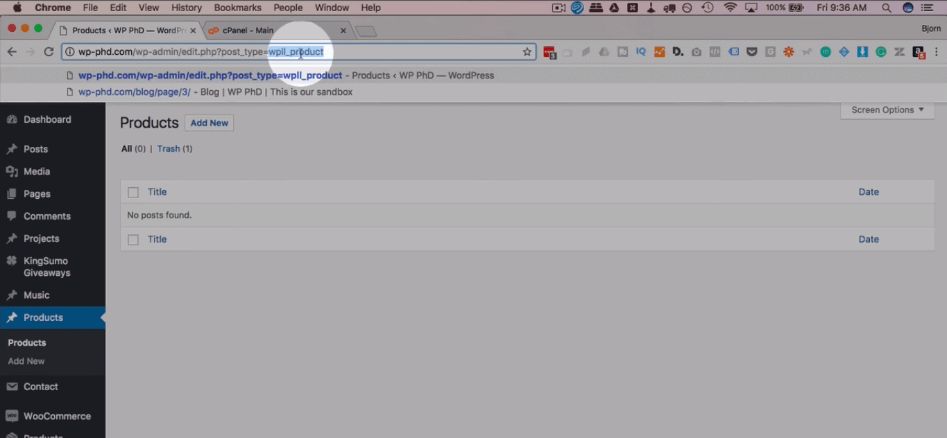 Use WordPress Custom Post Types To Organize Your Content Better ...