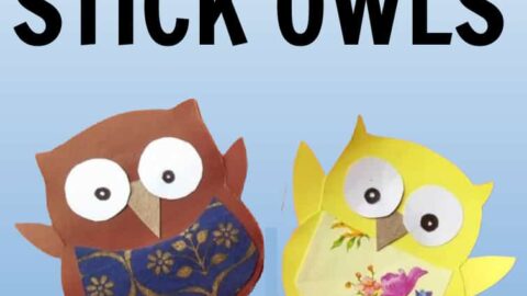 DIY Popsicle Stick Owl Craft For Kids · The Inspiration Edit