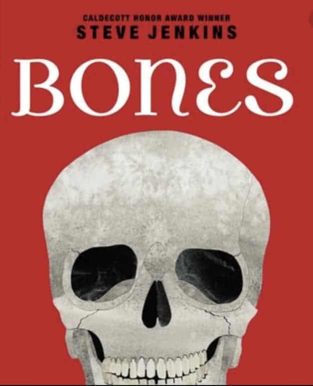 Brilliant Skeleton Books Kids Will Love · The Inspiration Edit