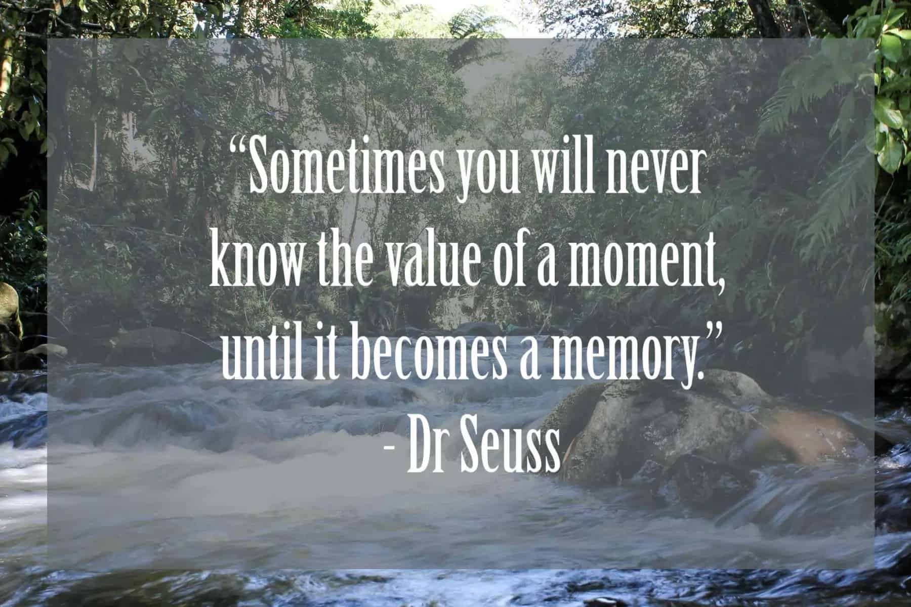 31 Dr Seuss Quotes Which Will Inspire You · The Inspiration Edit