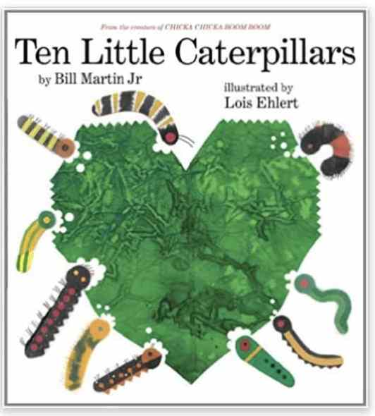 20 Best Children's Caterpillar Books · The Inspiration Edit