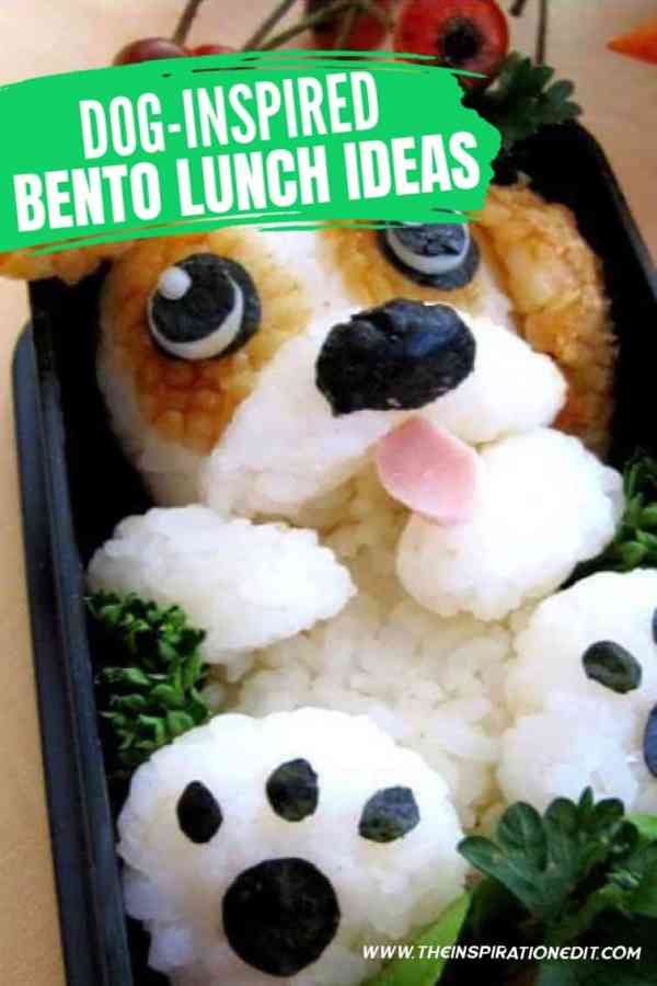 5 Brilliant Dog Bento Lunches · The Inspiration Edit