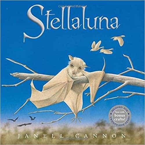 Bat Books to Read With Kids This Halloween - The Inspiration Edit