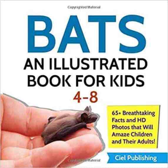 Bat Books to Read With Kids This Halloween · The Inspiration Edit