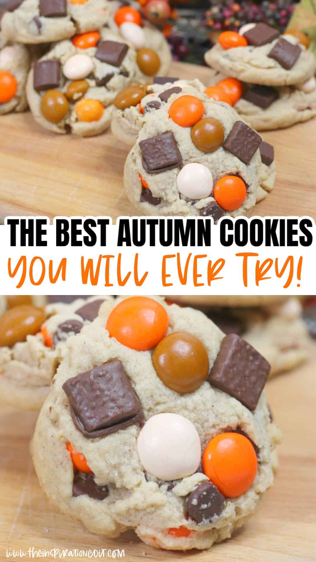 The Best Autumn Cookies With Chocolate Chips · The Inspiration Edit