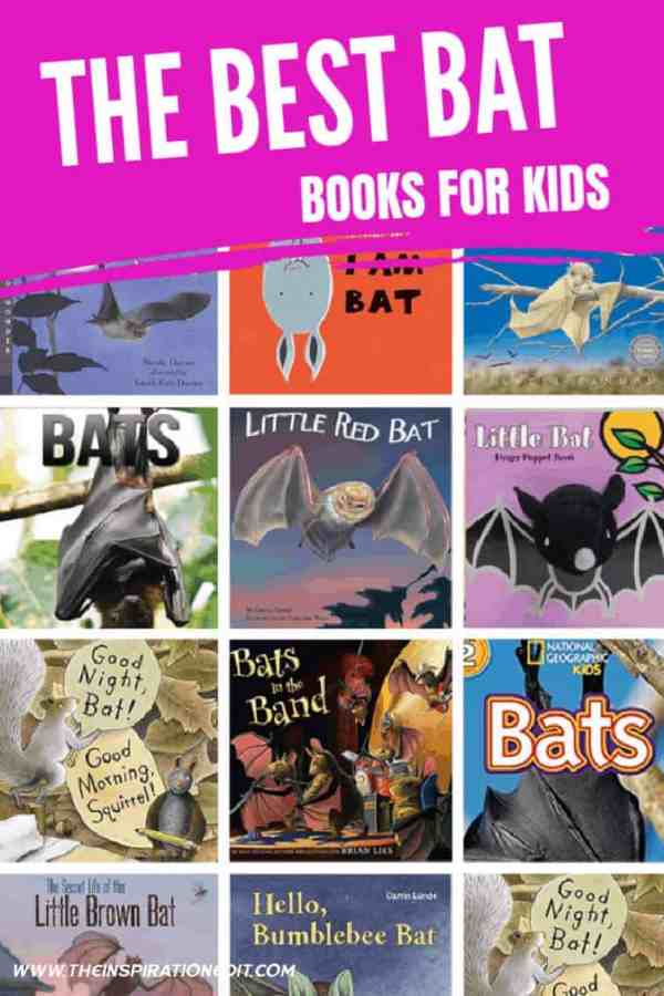 Bat Books to Read With Kids This Halloween - The Inspiration Edit