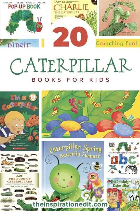 20 Best Children's Caterpillar Books - The Inspiration Edit