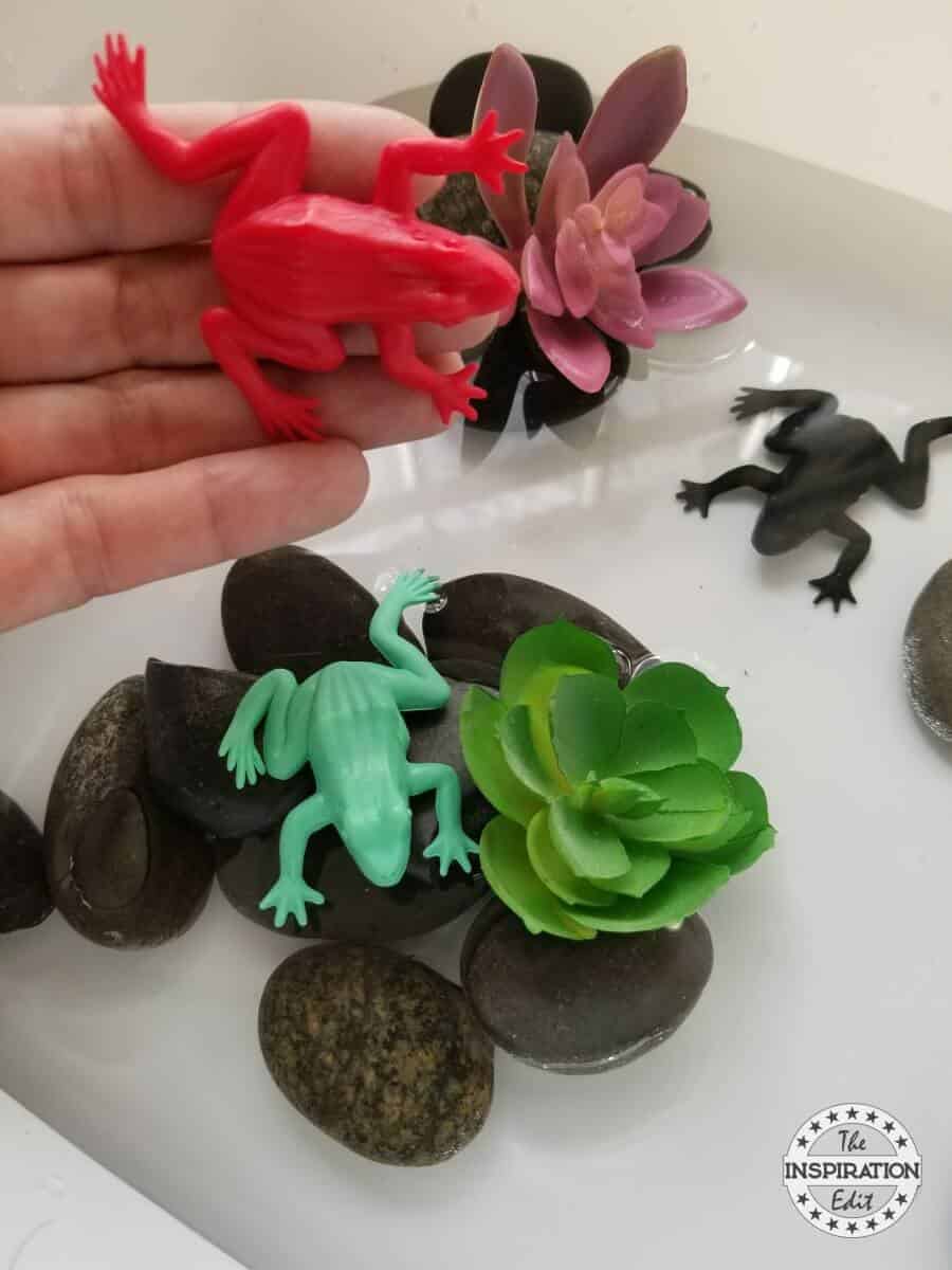 Frog Sensory Bin Preschool Activity | The Inspiration Edit