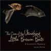 Bat Books to Read With Kids This Halloween · The Inspiration Edit