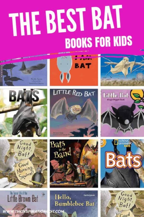 Bat Books to Read With Kids This Halloween | The Inspiration Edit
