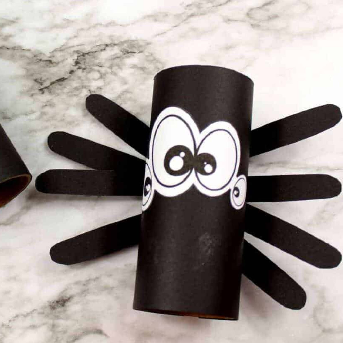 Toilet Tube Halloween Spider Craft for Kids | The Inspiration Edit