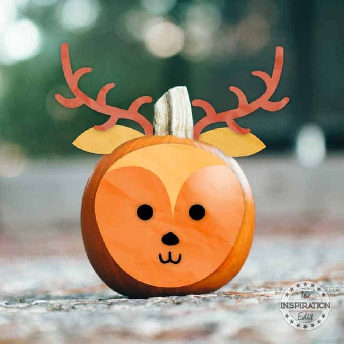 Easy Pumpkin Template Printable for Kids | The Inspiration Edit