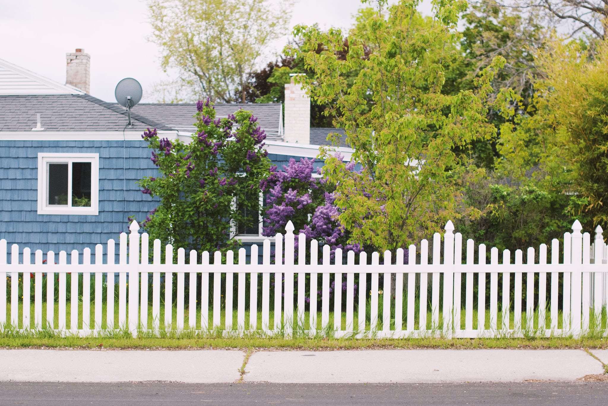 Plastic Fence: Advantages and Installation Features | The Inspiration Edit