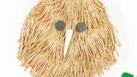 Paper Plate Kiwi Craft and Kiwi Facts · The Inspiration Edit