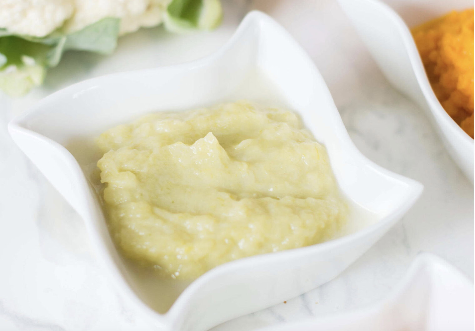 The Best Vegetable Puree Recipes | The Instant Pot Table