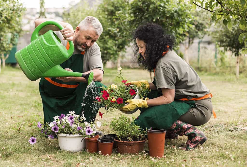 The Ultimate Guide to Seasonal Garden Maintenance: Tools and Tips for ...
