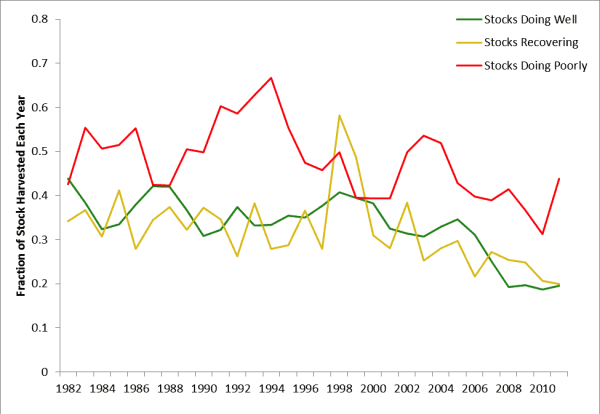 atlantic cod numbers