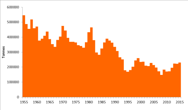 atlantic cod numbers