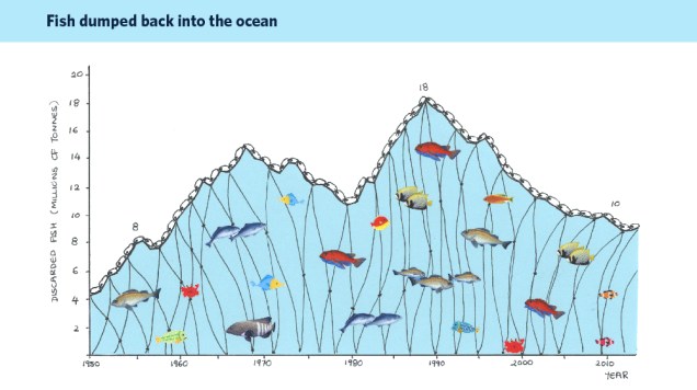 bycatch statistics