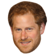 prince harry beard