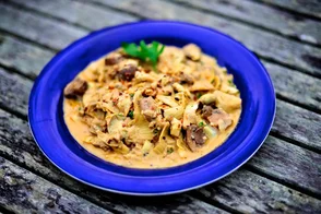 Ultimate City Guide for Berkeley, CA - USA Tourism